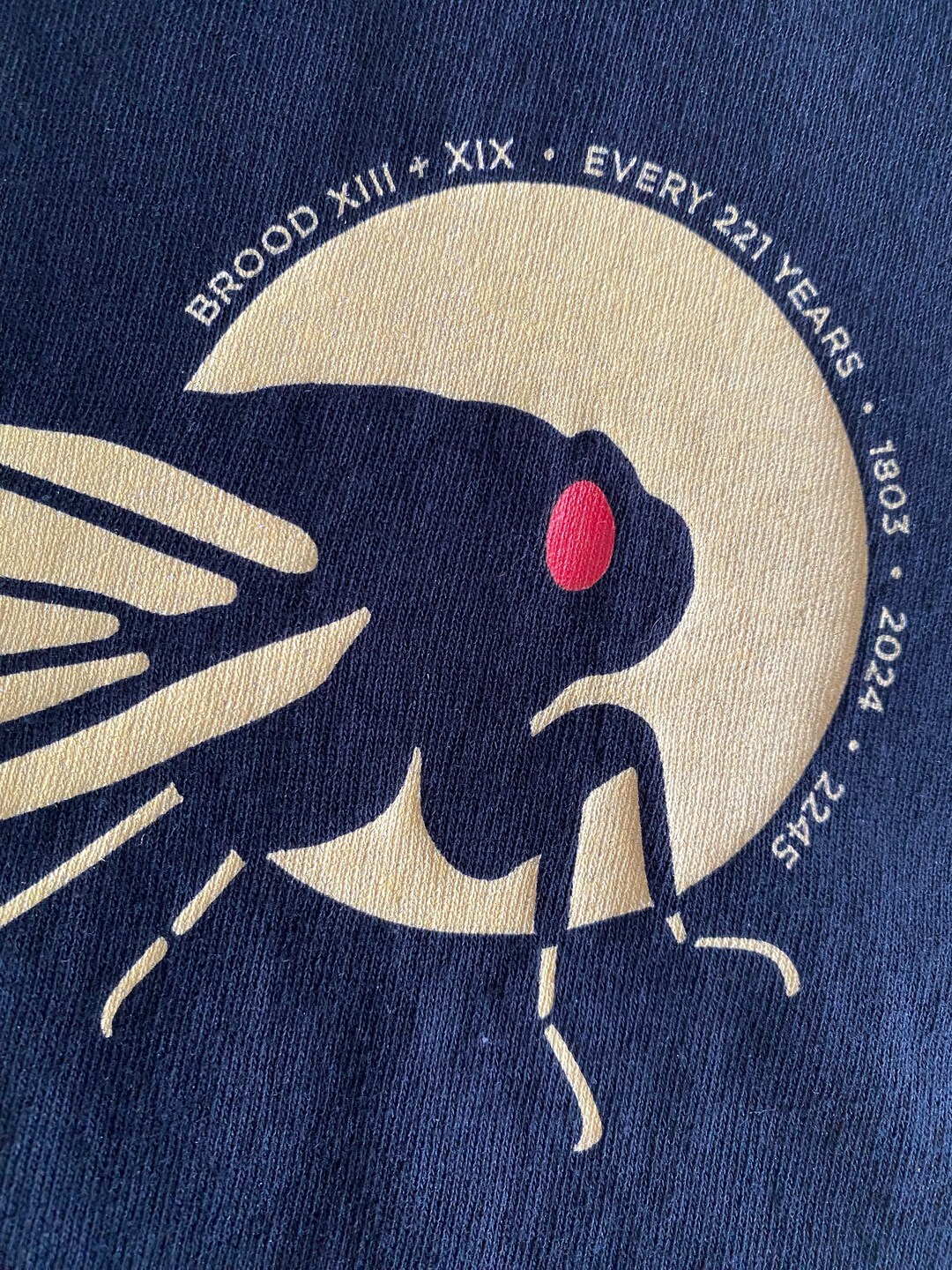 Cicada T-shirt Historic Brood XIII + XIX - Available in Black, Dark ...
