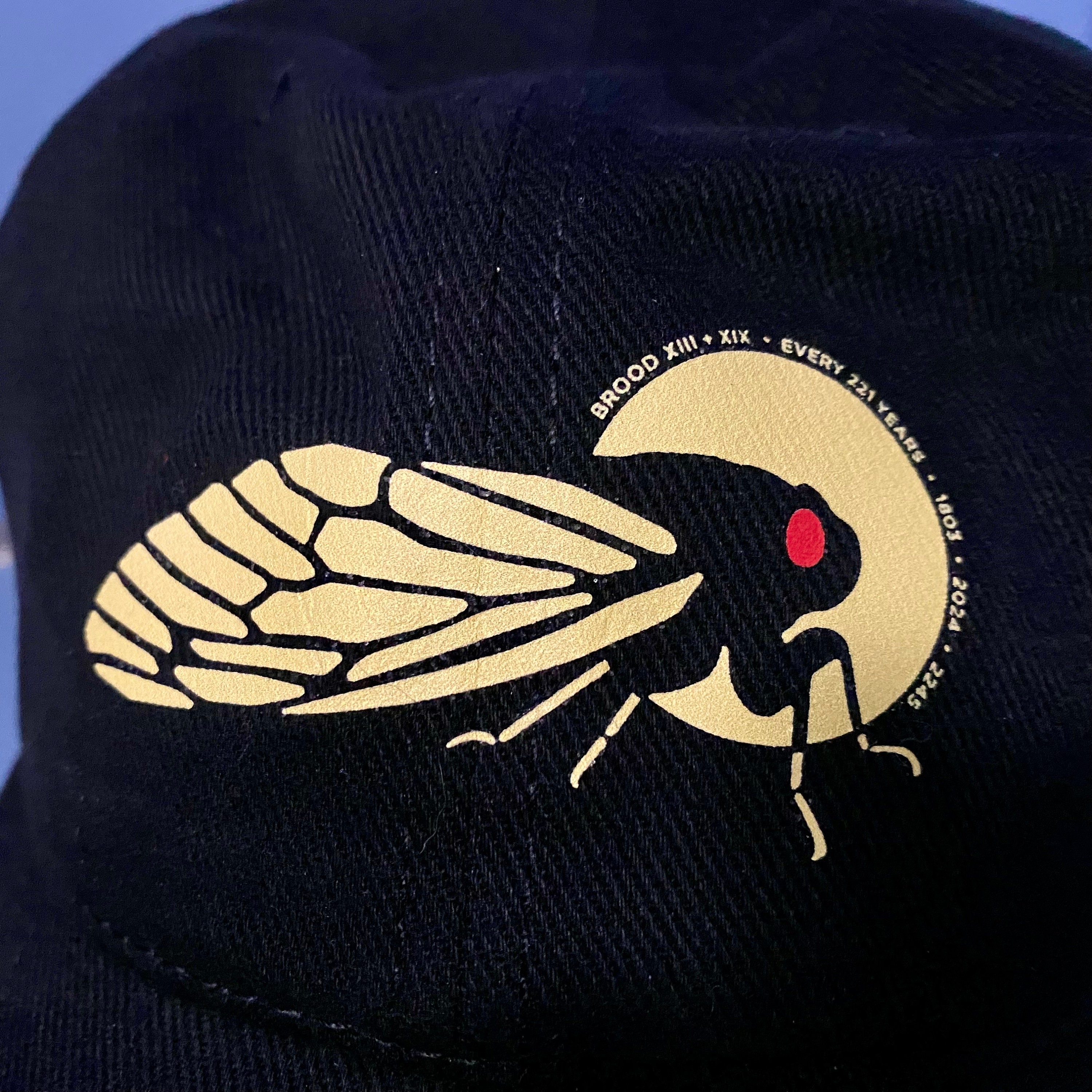Cicada Baseball Cap With Historic Double Brood Information Available in ...