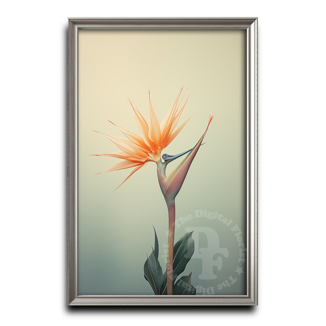 Bird of Paradise Flower Digital Art Poise and Color Against Serenity - Etsy