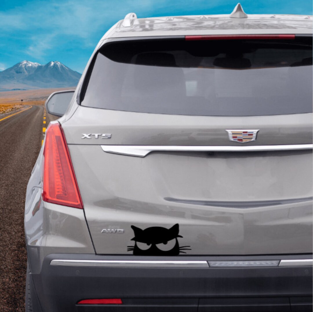 Angry Cat Vehicle Decal. Bumper Sticker. Vehicle Sticker. Car Sticker ...