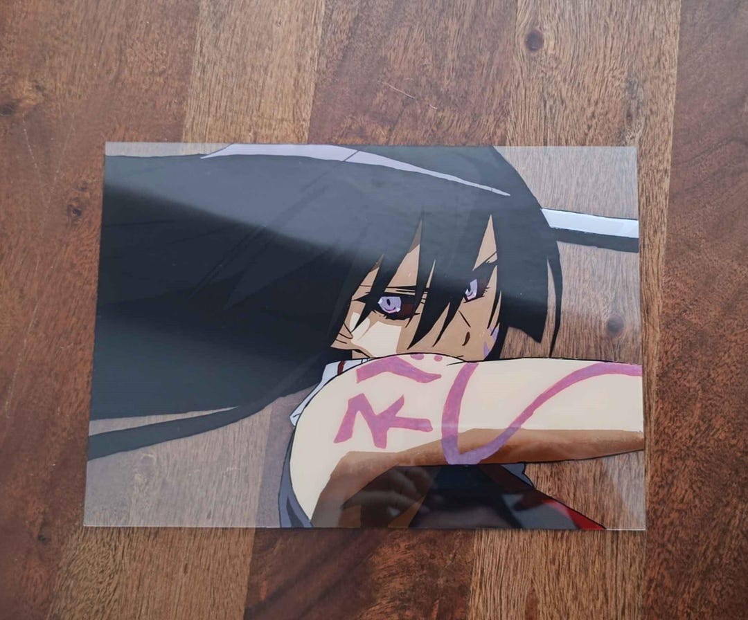 Akame | Akame of the Demon Sword Murasame | Glasspainting Anime | Glass ...