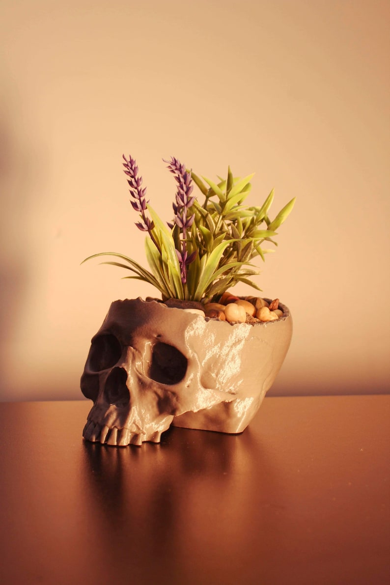 Vaso a forma di teschio • Realistico • Halloween • Decorazione ...