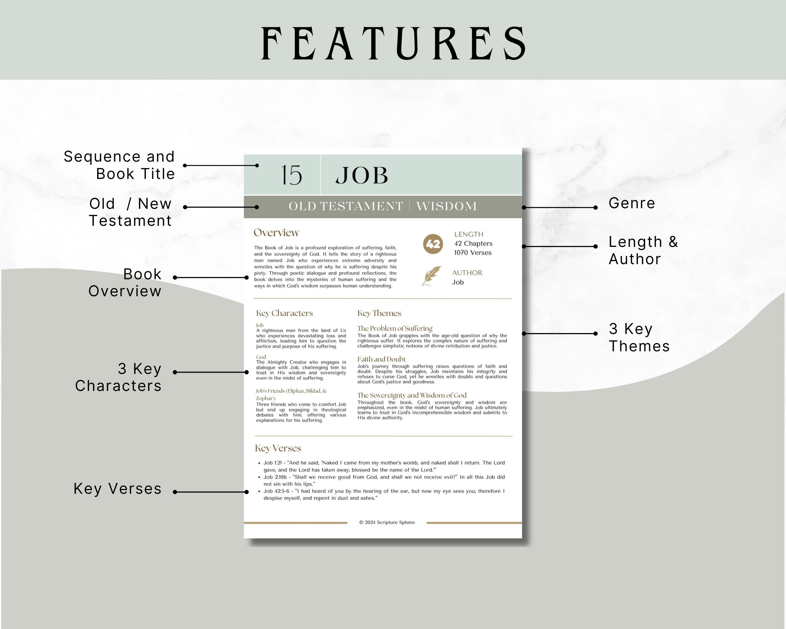 Job Bible Summary Printable Sheet Old Testament Summary Christian ...