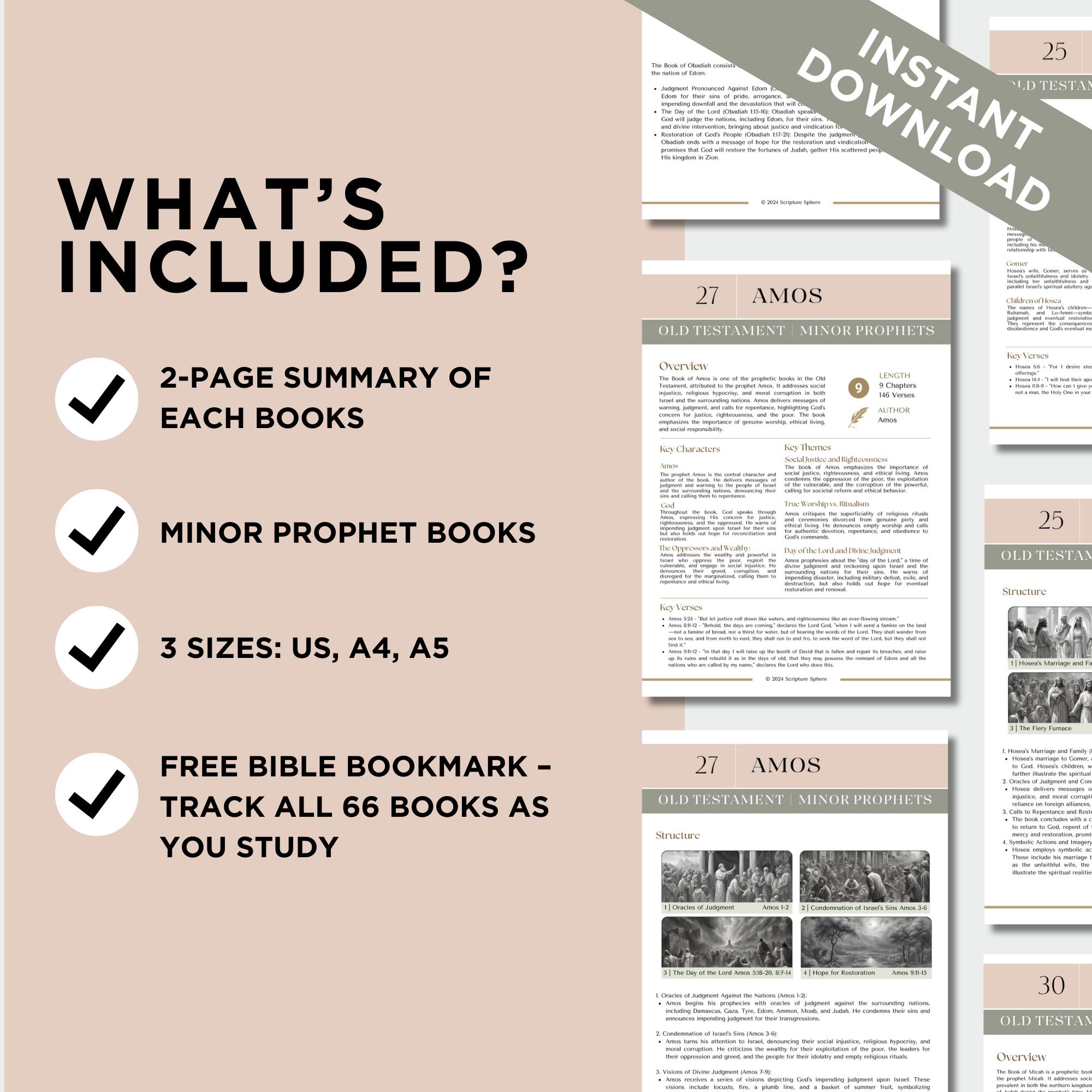 Minor Prophets Bible Study Guide | 12 Books Old Testament Summary Notes ...
