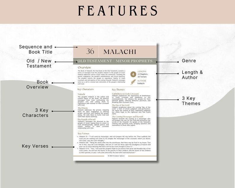 Minor Prophets Bible Study Bundle Printable Cheat Sheet | Old Testament ...