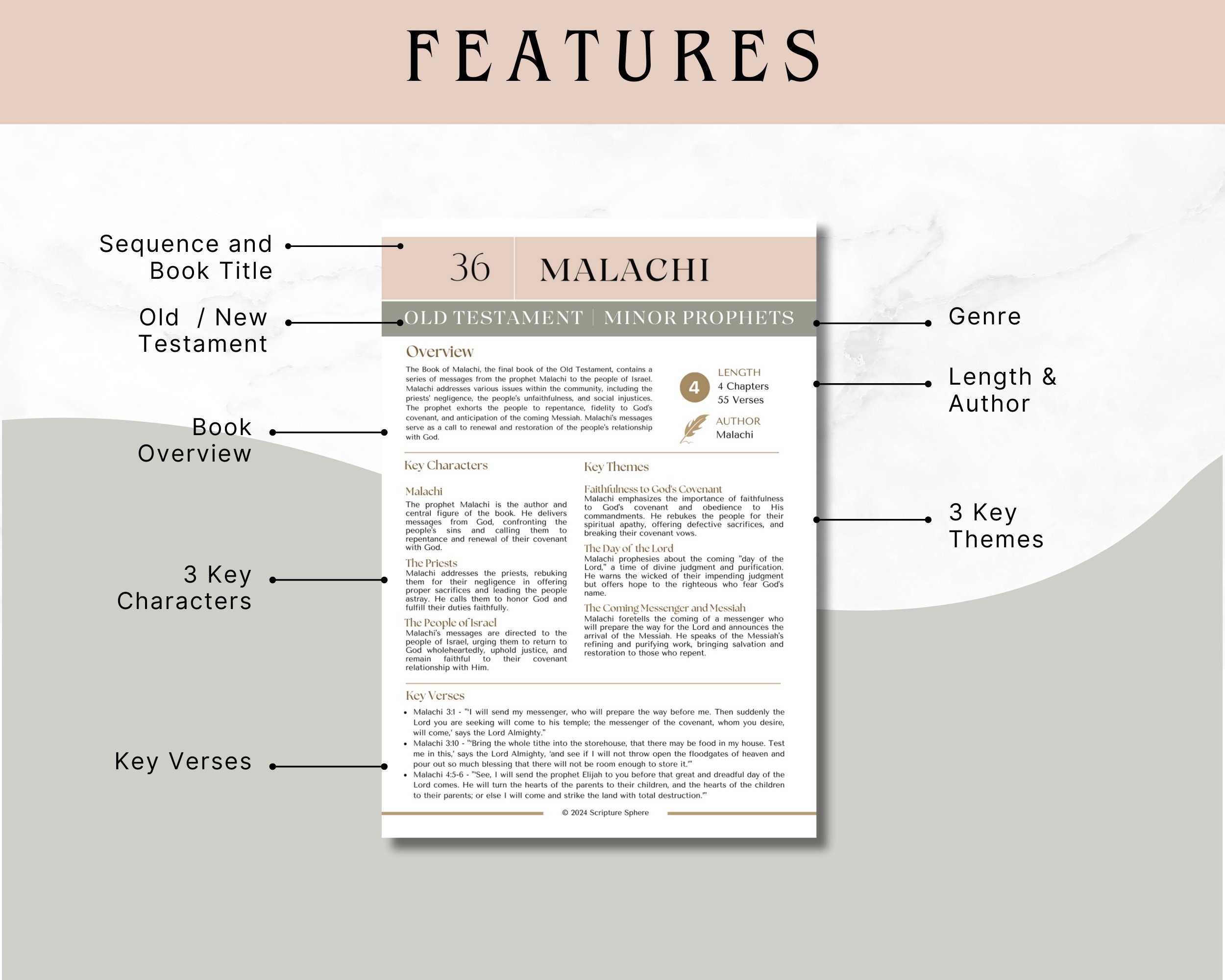 Minor Prophets Bible Study Bundle Printable Cheat Sheet | Old Testament ...
