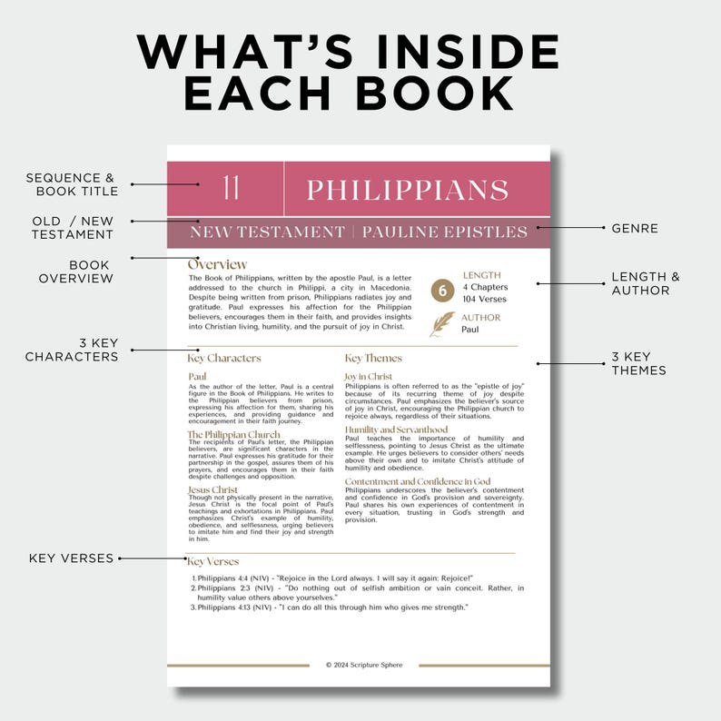 Bible Overview Summary PDF | Entire Bible Made Simple | 66 Books Study ...