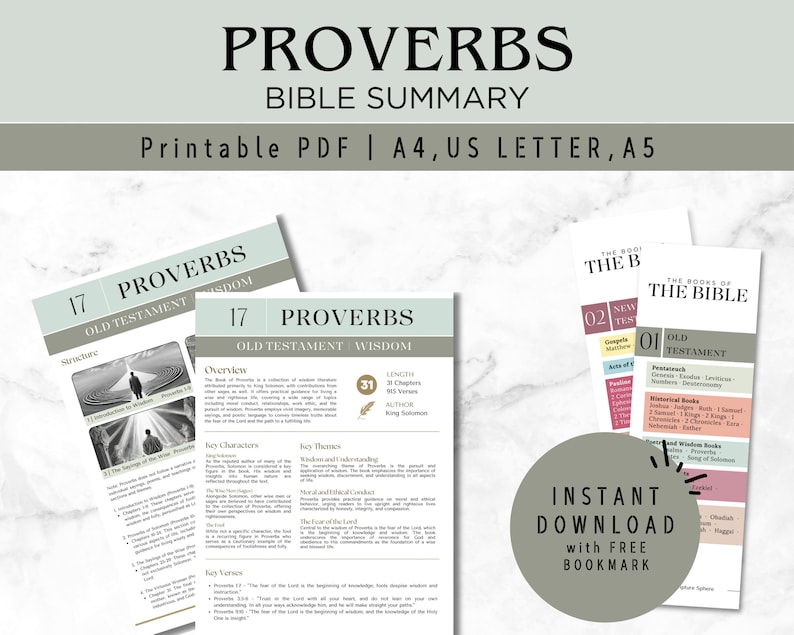 Proverbs Bible Summary Printable Sheet | Old Testament Summary ...