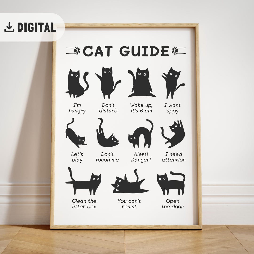 Funny Cat Guide Wallart Cat Colorful Poster Walldecor Cat Definition ...