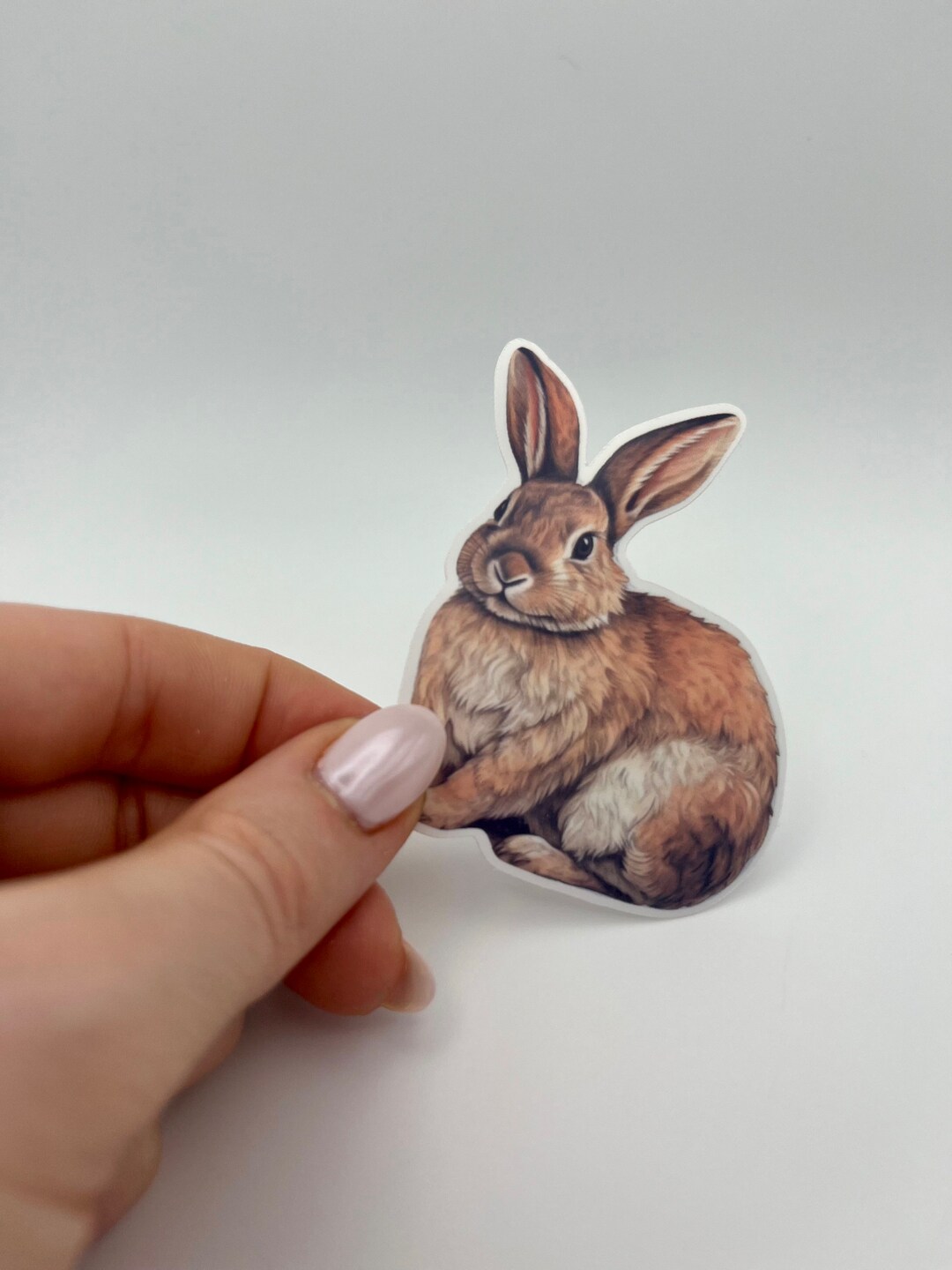 Detailed Rabbit Sticker - Vinyl Sticker - Waterproof - Etsy
