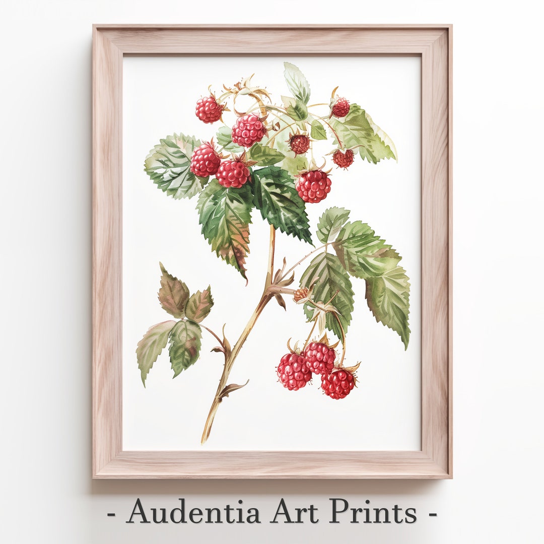 Printable Raspberry Wall Art - Etsy