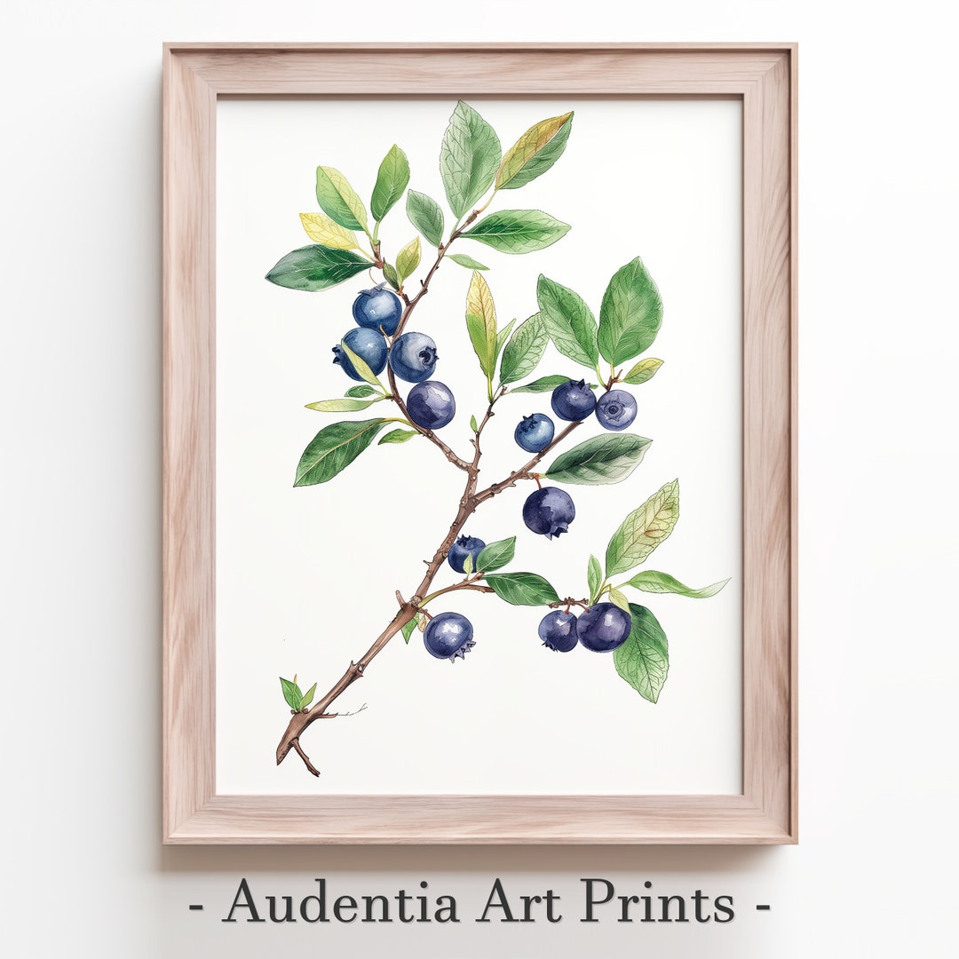 Printable Blueberry Wall Art - Etsy