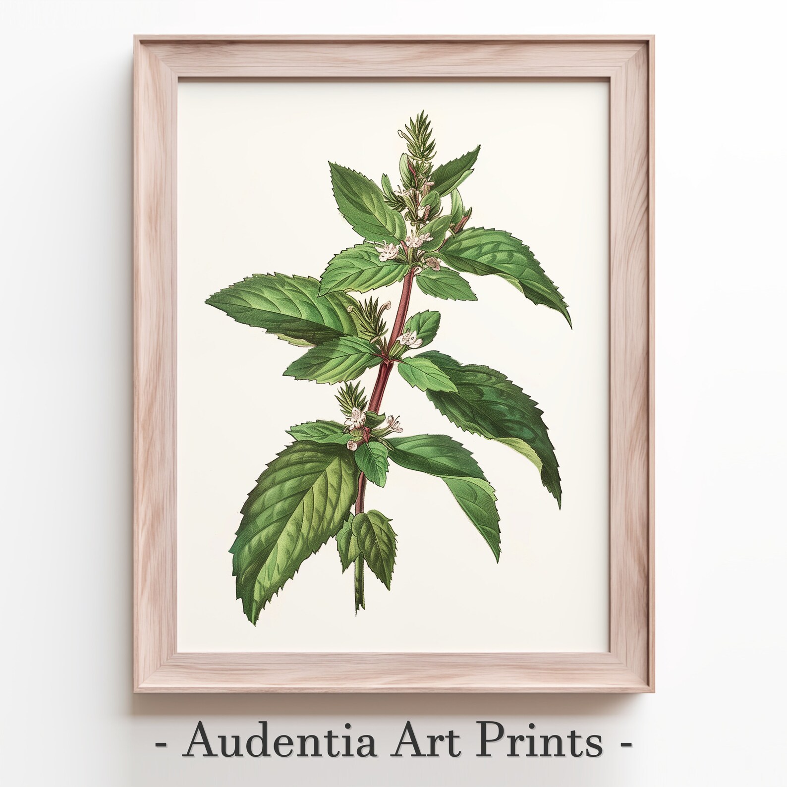 Printed Herb Wall Art Poster - Etsy