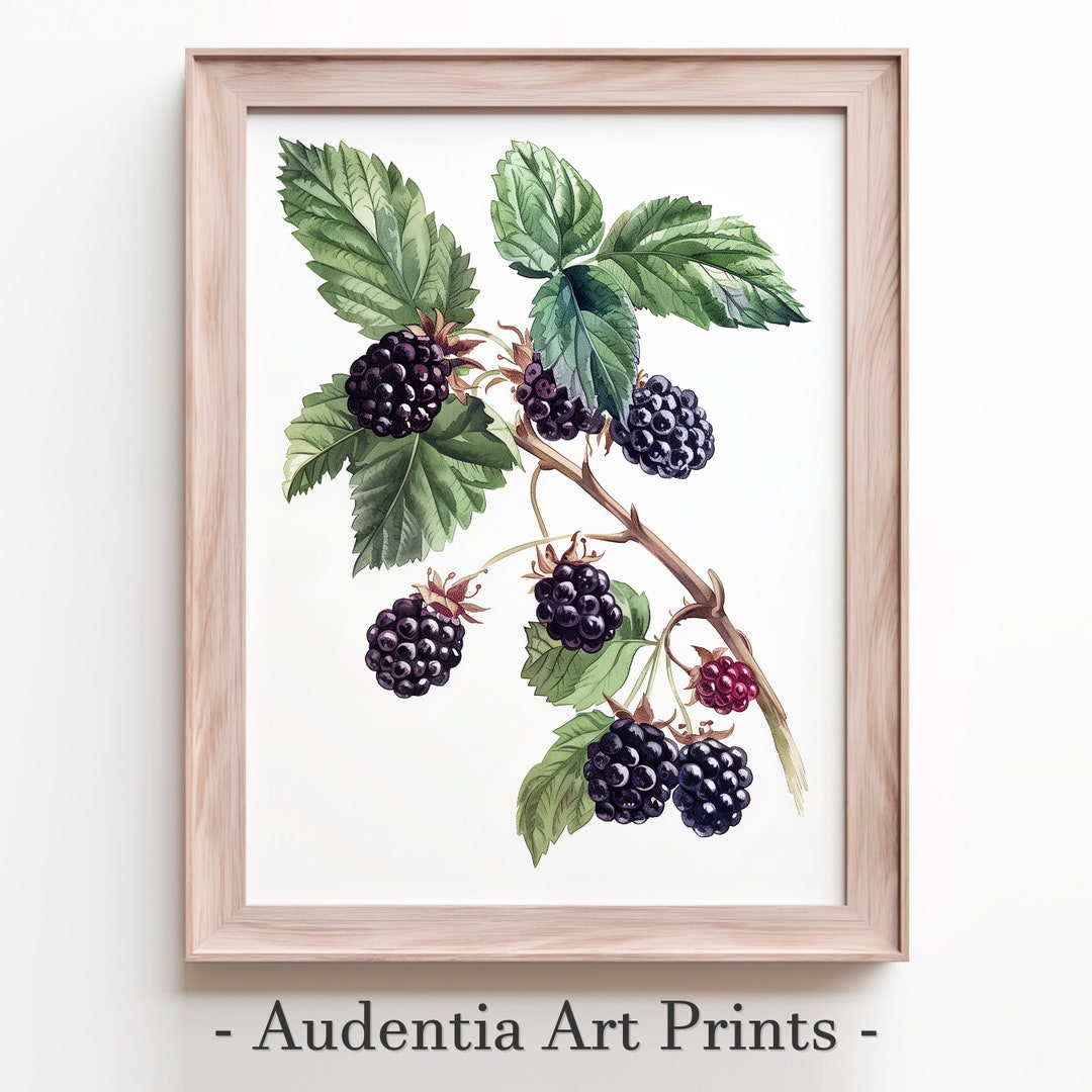 Printable Blackberry Wall Art - Etsy