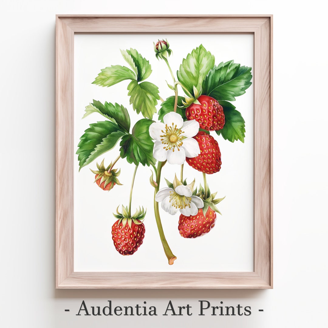 Printed Strawberry Wall Art Poster - Etsy