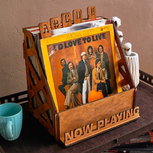 Record Separator, Vinyl Record Storage, Vertical Vinyl Record Dividers ...