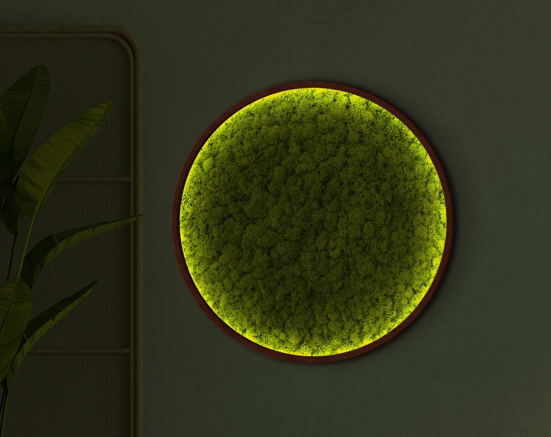 Moss Wall Art Decor With Led, Oversized Moss Wall Art, Natural Dried ...