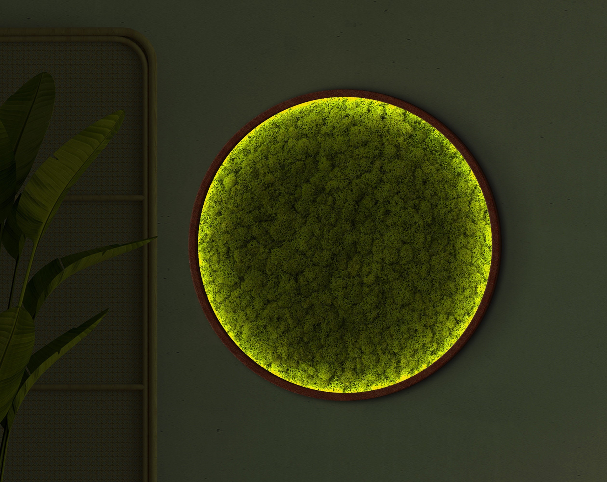 Moss Wall Art Decor With Led, Oversized Moss Wall Art, Natural Dried ...