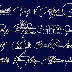 I Will Design a Professional Logo for Your Business, Custom Logo Design ...