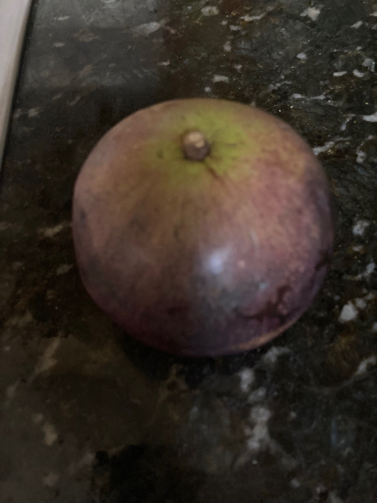 Star Apple Seeds -caimito Seeds-seeds-tropical Fruit Tree Seeds ...