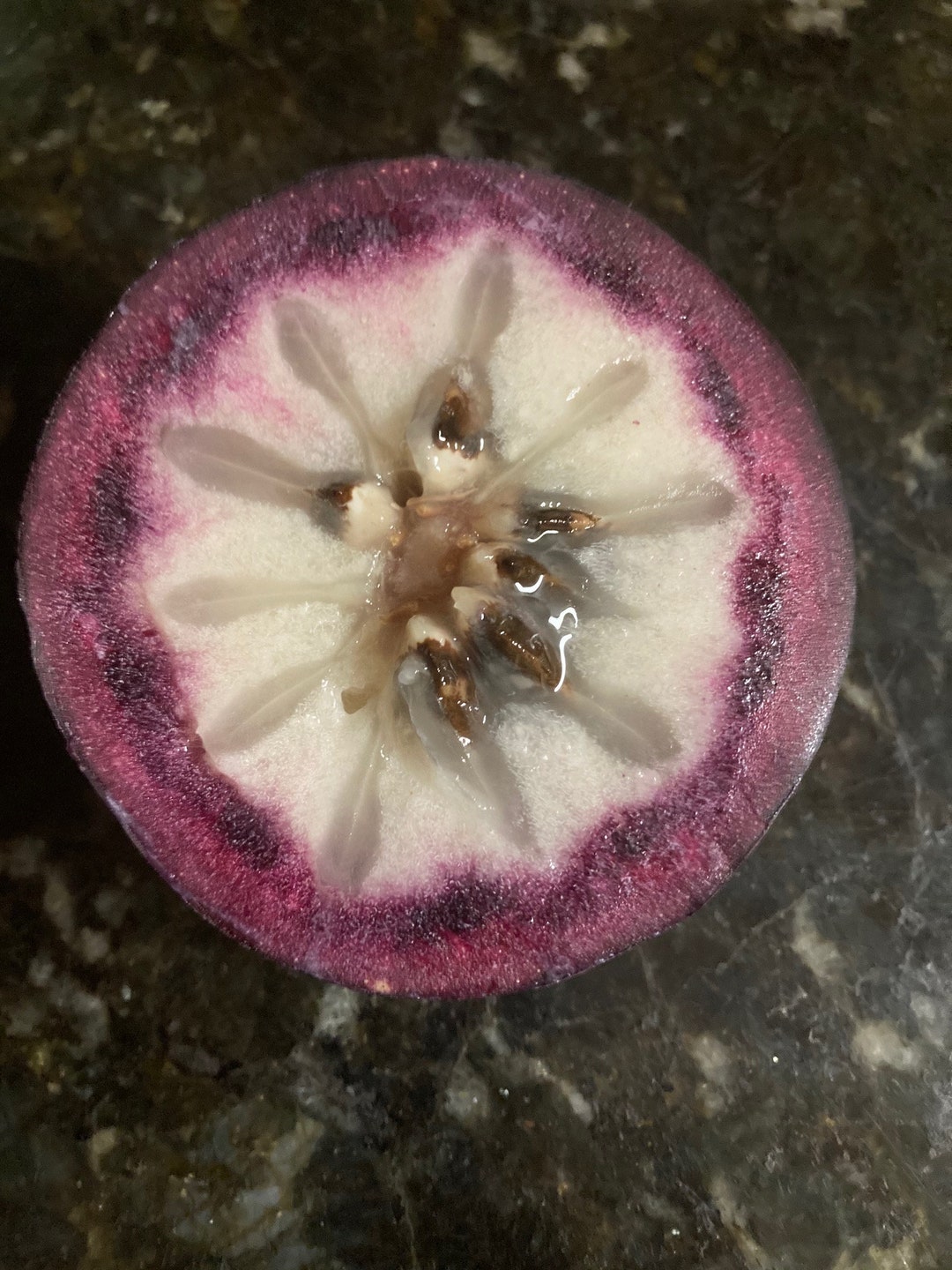 Star Apple Seeds -caimito Seeds-seeds-tropical Fruit Tree Seeds ...