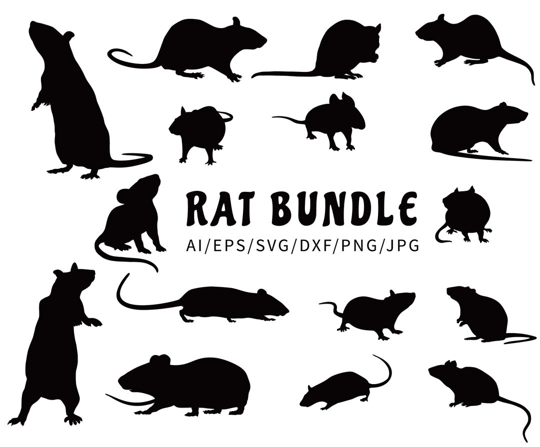 Cute Rat Svg, Rats Png, Rat Vector, Rat Cut Files, Rat Svg, Rat ...