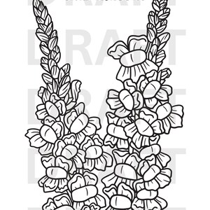 Colouring in Printable and Downloadable Flower Colouring In - Etsy