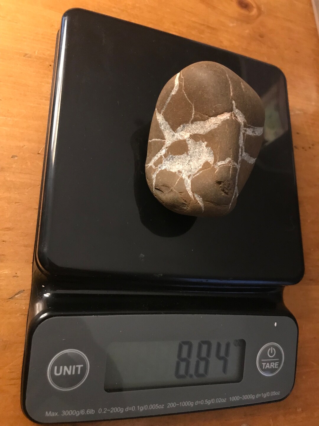 Lake Michigan Hand Picked Lightning Stone Septarian Nodule Dragon Stone ...