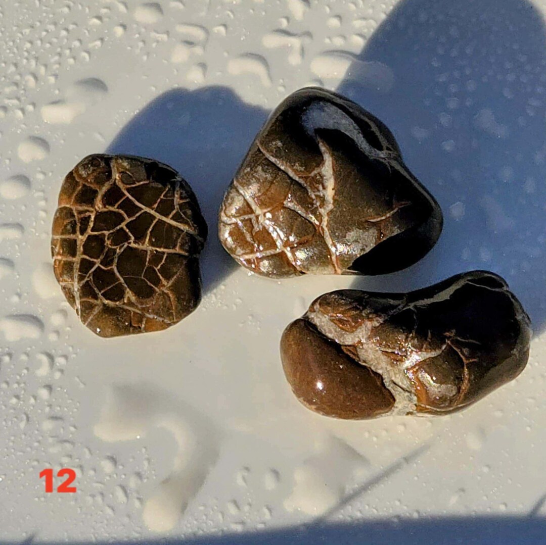 Lightning Stones! Septarian Nodule Dragon Stone Perfect Gift Holiday ...