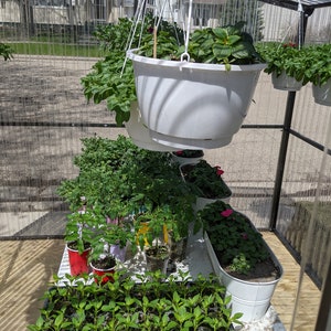 Portable Easy Set up Greenhouse or Garden Shed 8' X 8' - Etsy