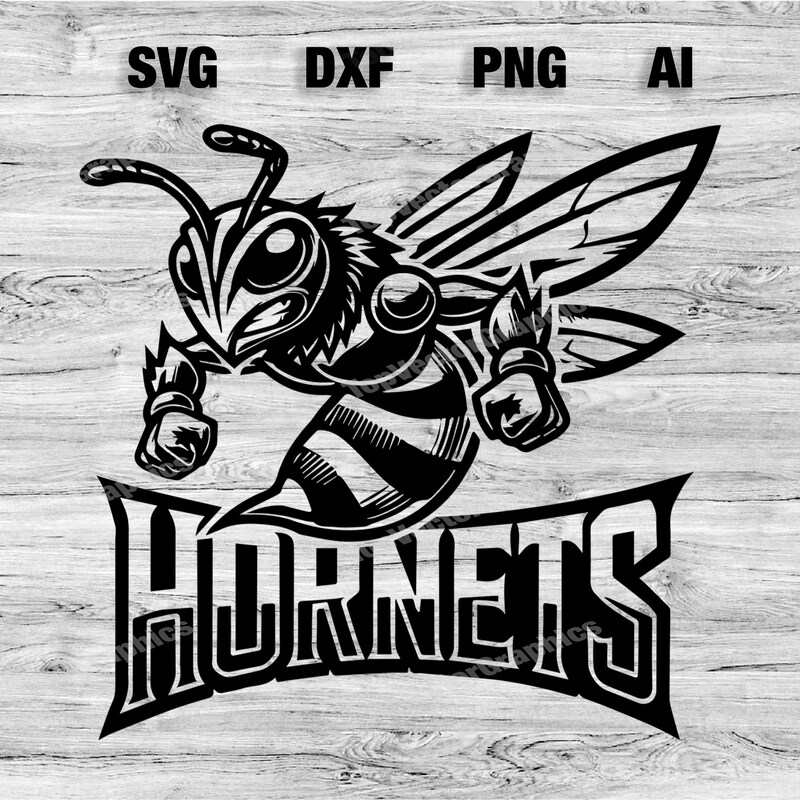 Hornets Logo Png - Etsy