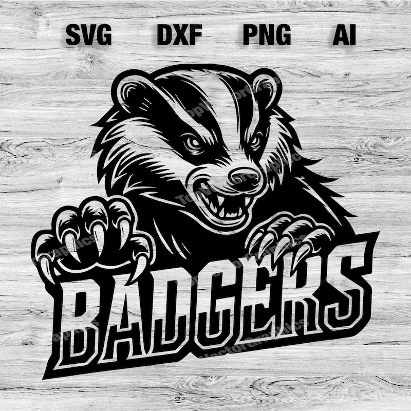 Badgers Basketball Shirt - Etsy UK