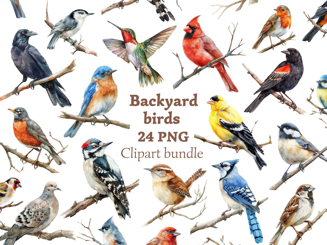 Backyard Birds Printable Clipart Set, Garden Birds Clip Art Bundle ...