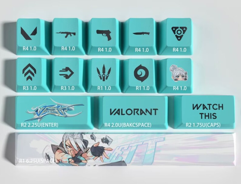 Valorant Jett Set 14 Pcs , Reyna Keycaps, OEM Profile, Gaming Keycap ...