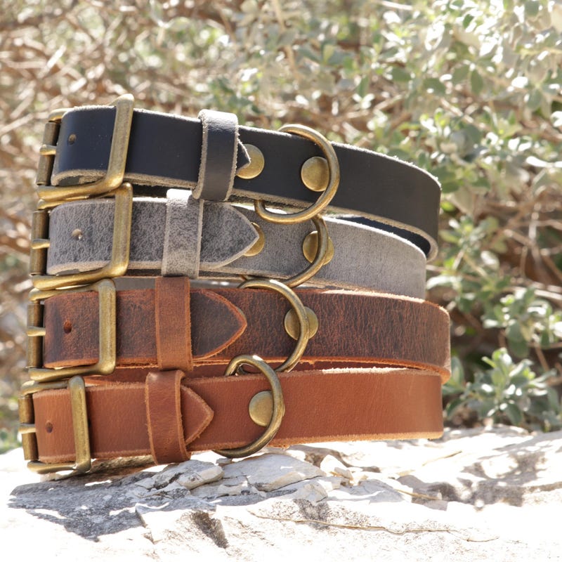 Best Selling Dog Collars - Etsy