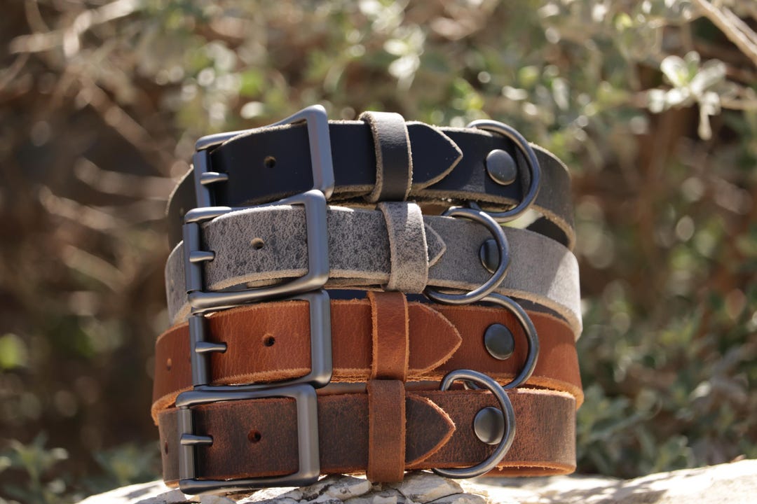 Handcrafted, Durable,best Selling, Premium Buffalo Leather Dog Collars ...