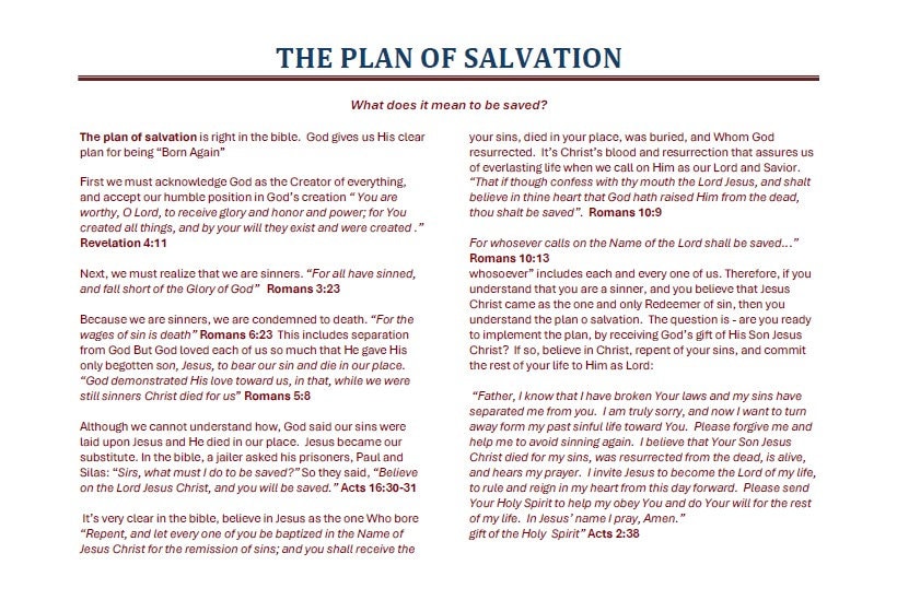 The Plan of Salvation Lesson - Etsy