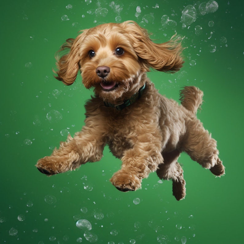 Generated AI Illustrated Pet Portraits - Etsy
