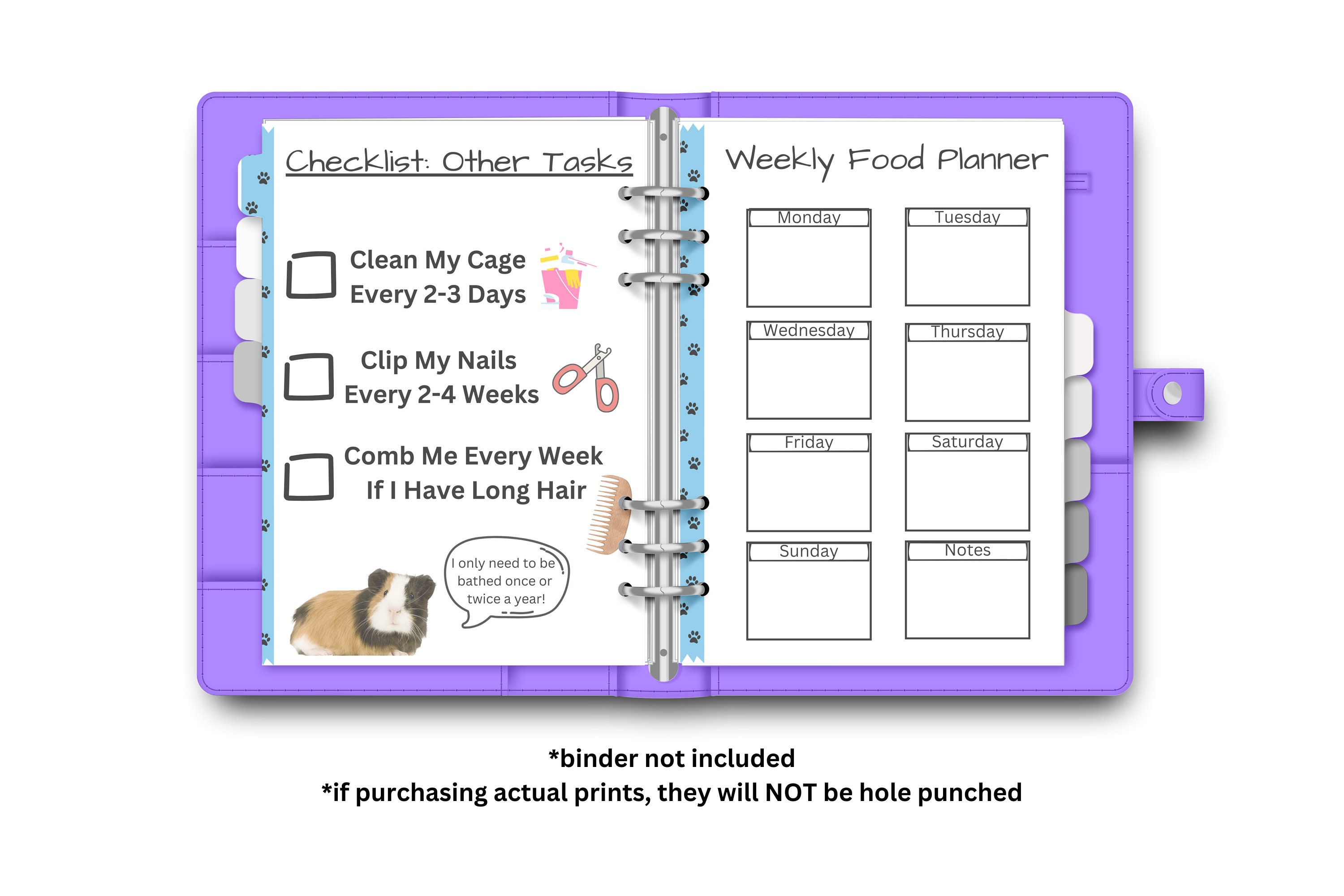 Guinea Pig Care Guide, First Time Pet Owner, Small Mammals, Printable ...