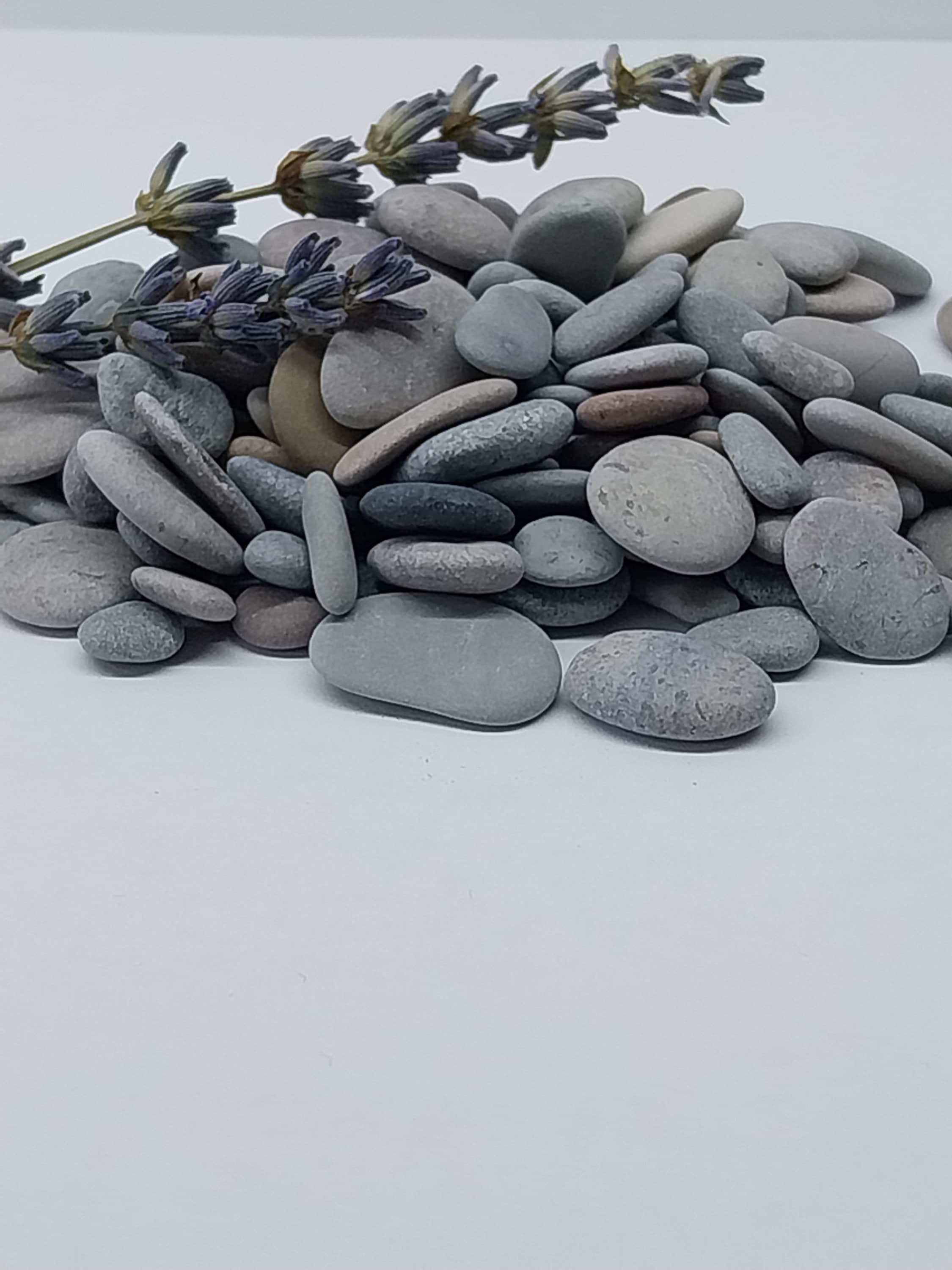 Bulk of 200 Small Smooth Flat Thin Pebbles for Craft.natural Beach ...