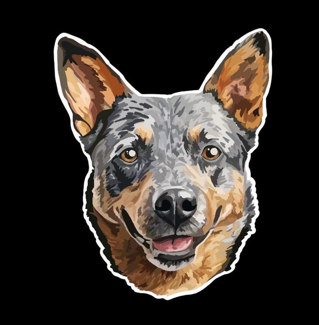 Blue Heeler Sticker - Etsy
