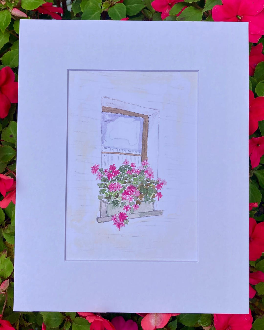 Matted Print: Window Box With Pink Flowers, 5x7 Matted to 8 X 10 Wall ...