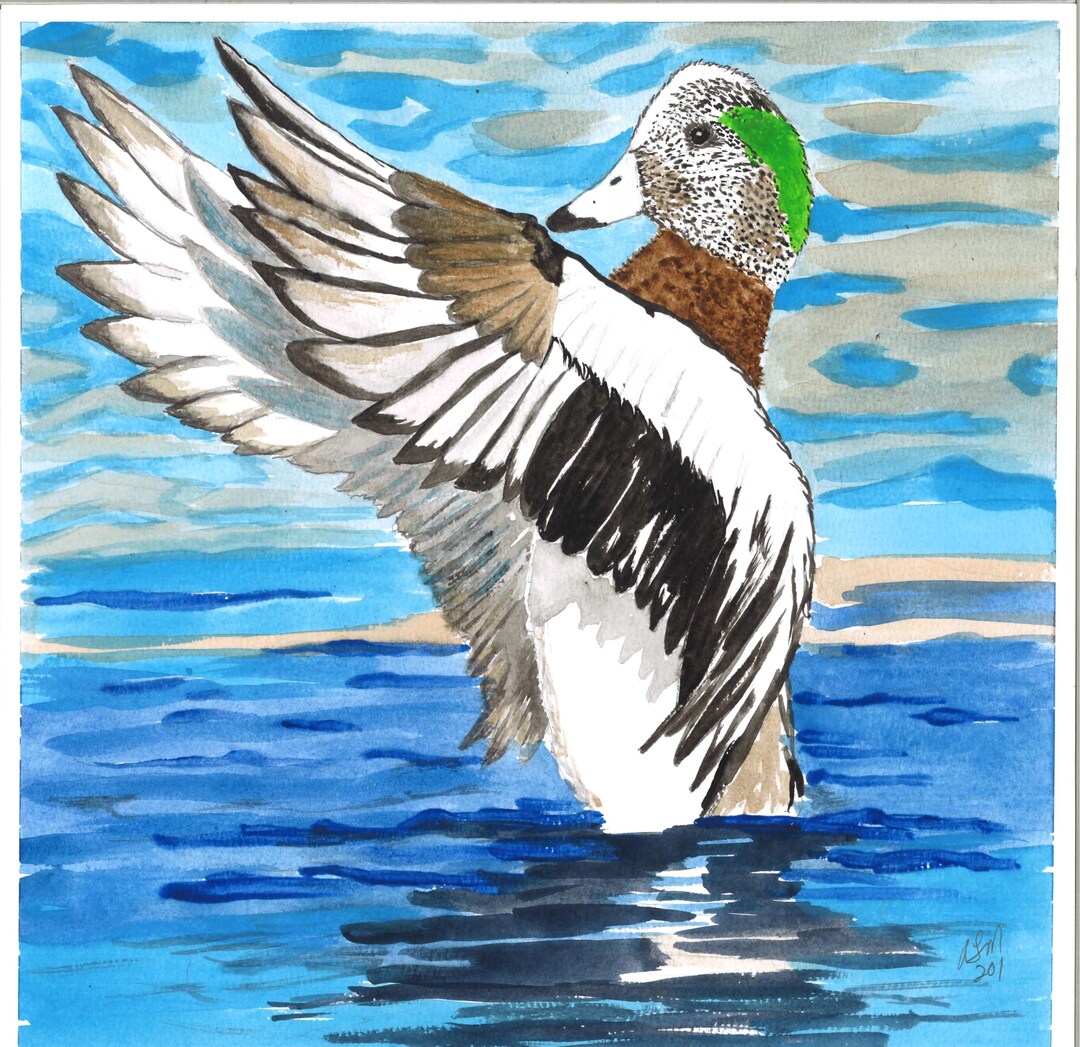Watercolor: "american Wigeon" Signed Original Watercolor Painting ...
