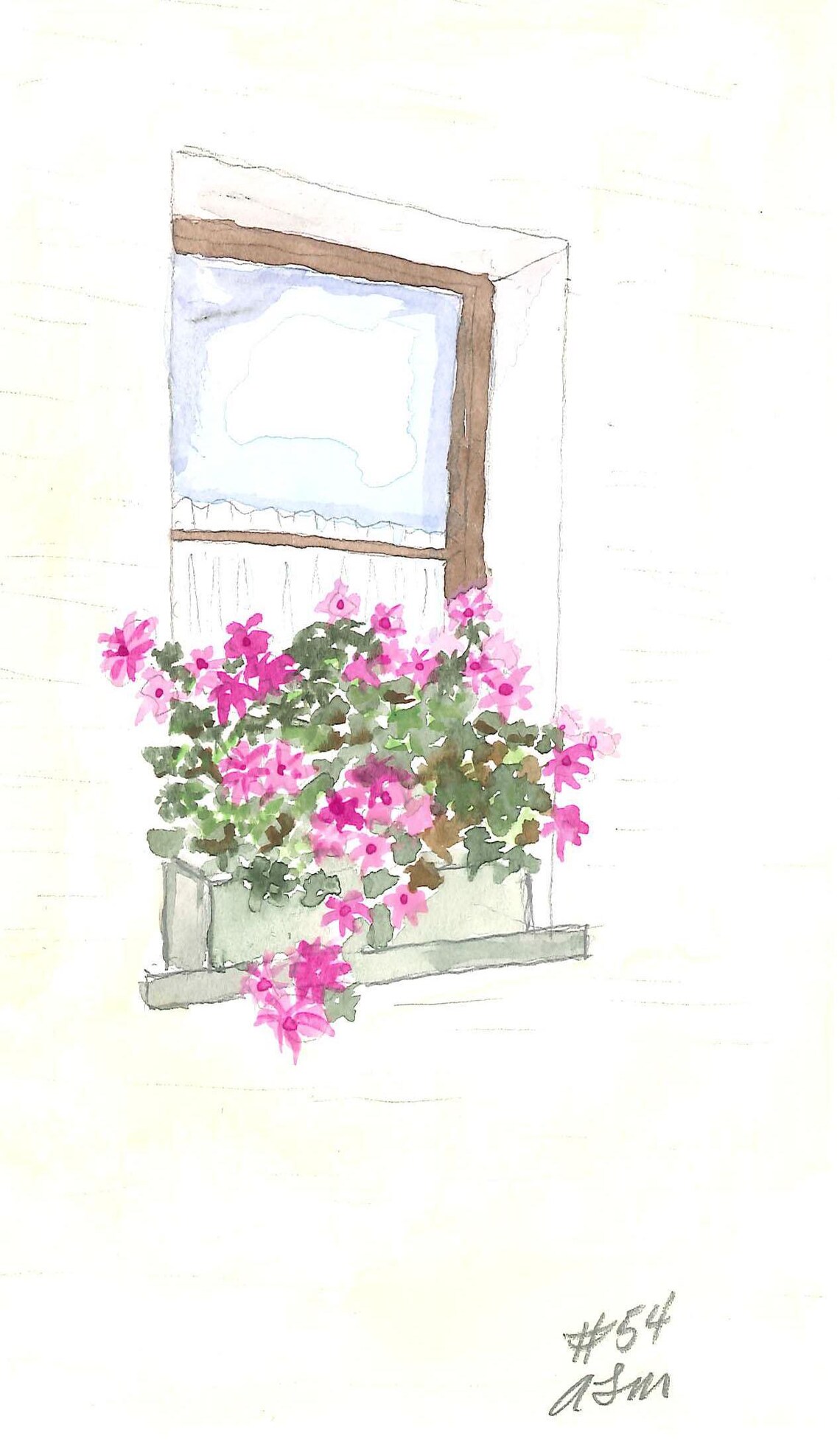 Matted Print: Window Box With Pink Flowers, 5x7 Matted to 8 X 10 Wall ...