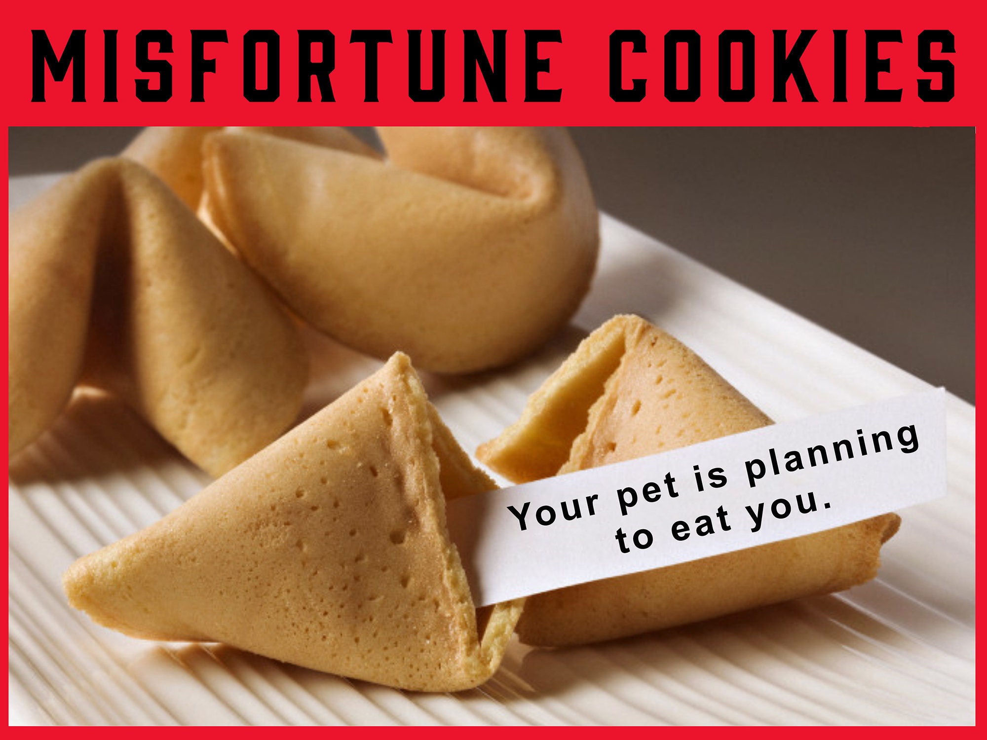 Witty Fortune Cookies | Psychic Party Favor | Horoscope Astrology Theme ...