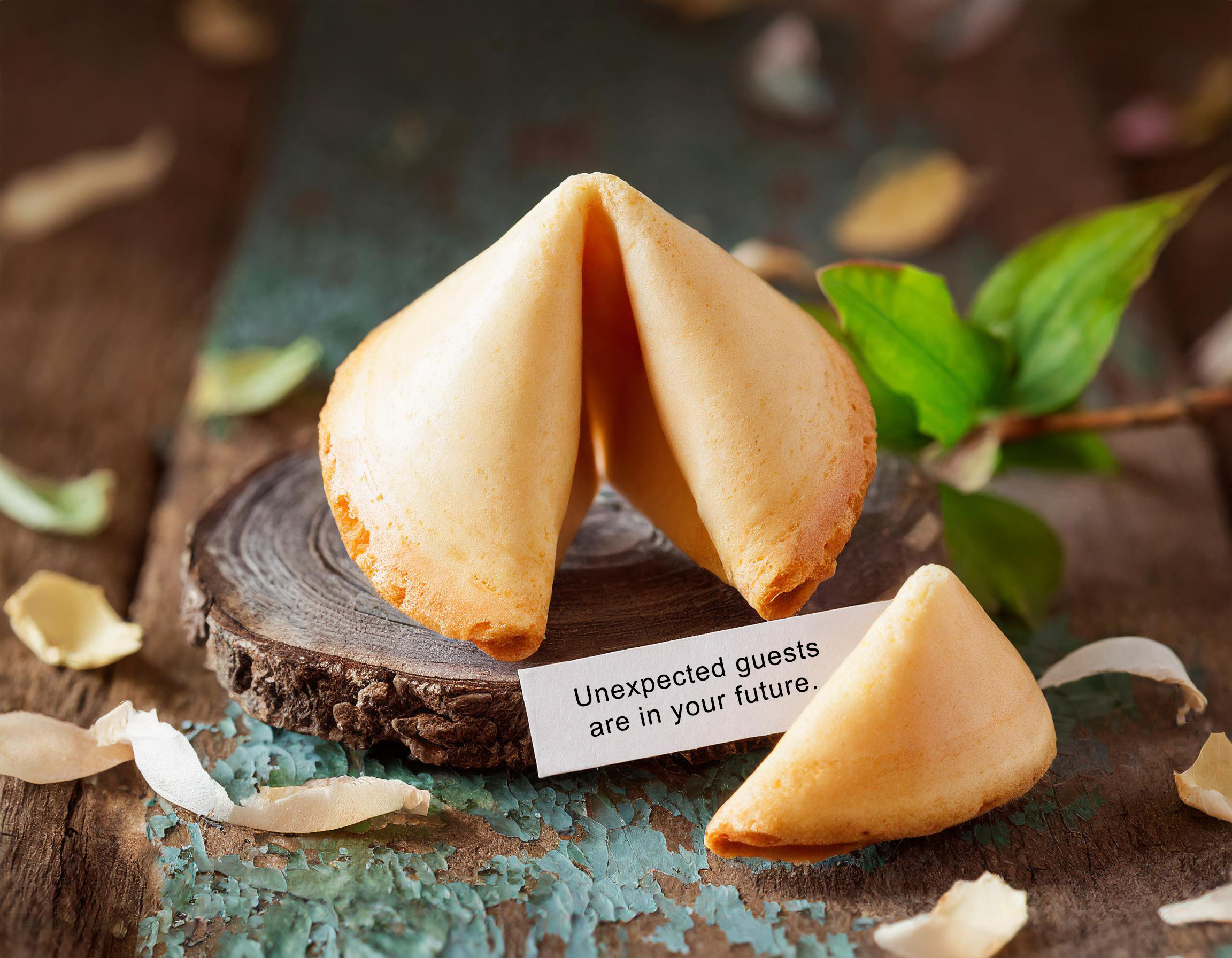 Witty Fortune Cookies | Psychic Party Favor | Horoscope Astrology Theme ...