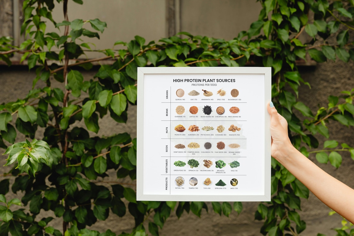 Vegan Protein Sources Chart, Best Plant Protein Poster, Plant Based ...