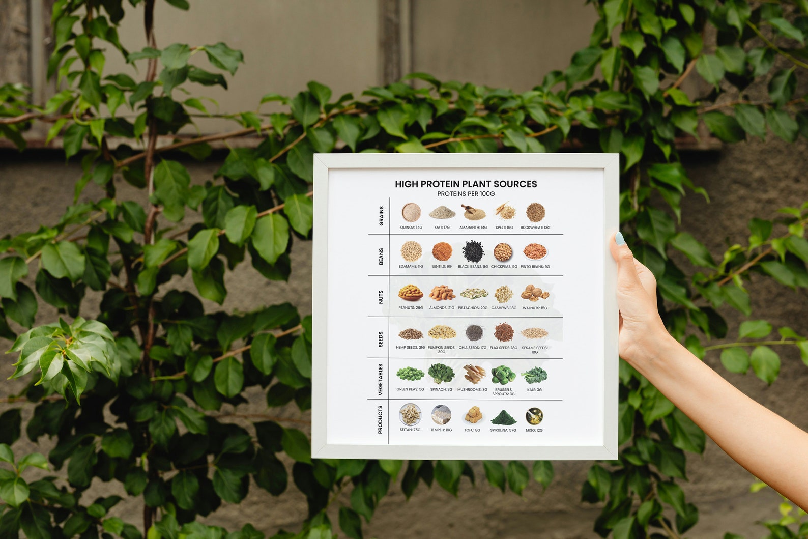 Vegan Protein Sources Chart, Best Plant Protein Poster, Plant Based ...