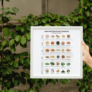 Vegan Protein Sources Chart, Best Plant Protein Poster, Plant Based ...