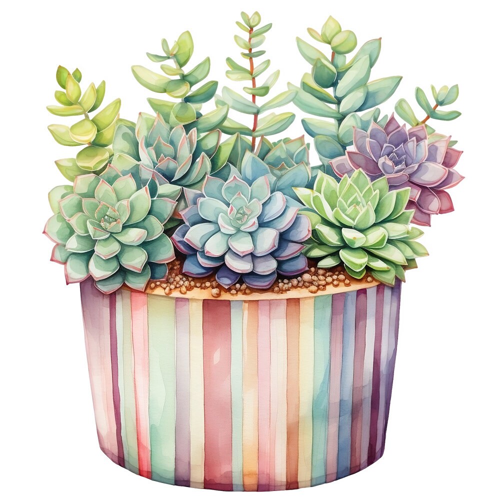 10 Cute Pastel Succulents Watercolor Clipart Graphics Digital Download ...